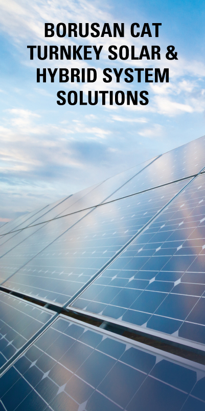 - Borusan Cat